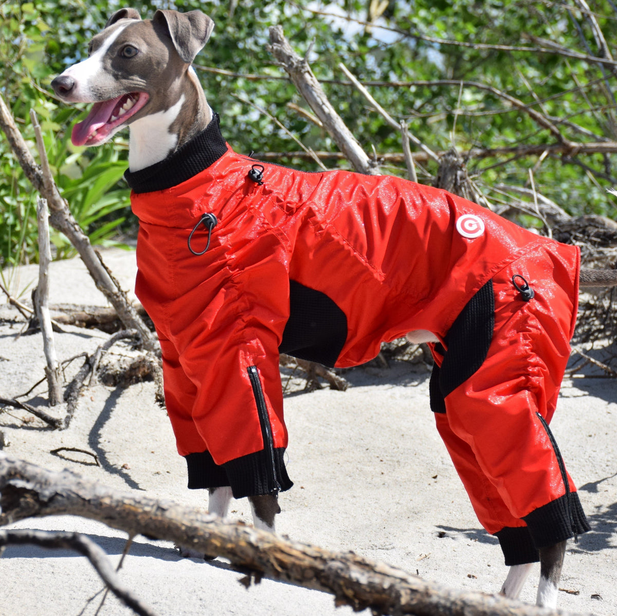 Top 5 Reasons Why Your Dog Needs Clothes – Zippy Dynamics Dog Apparel