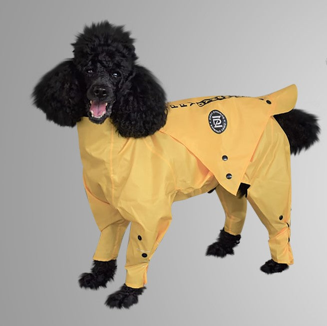 Keep Your Pup Dry: The Ultimate Guide to Dog Raincoats – Zippy Dynamics Dog Apparel